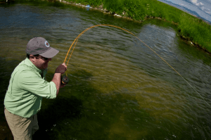 The 8 Best 3 Weight Fly Rods 2025: Small Stream Sticks Reviewed