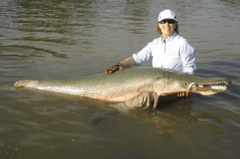 How to Catch Alligator Gar: 7 Top Tips