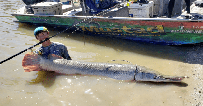 How to Catch Alligator Gar: 7 Top Tips