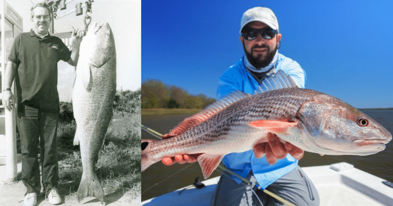 World Record Redfish: State and National Records