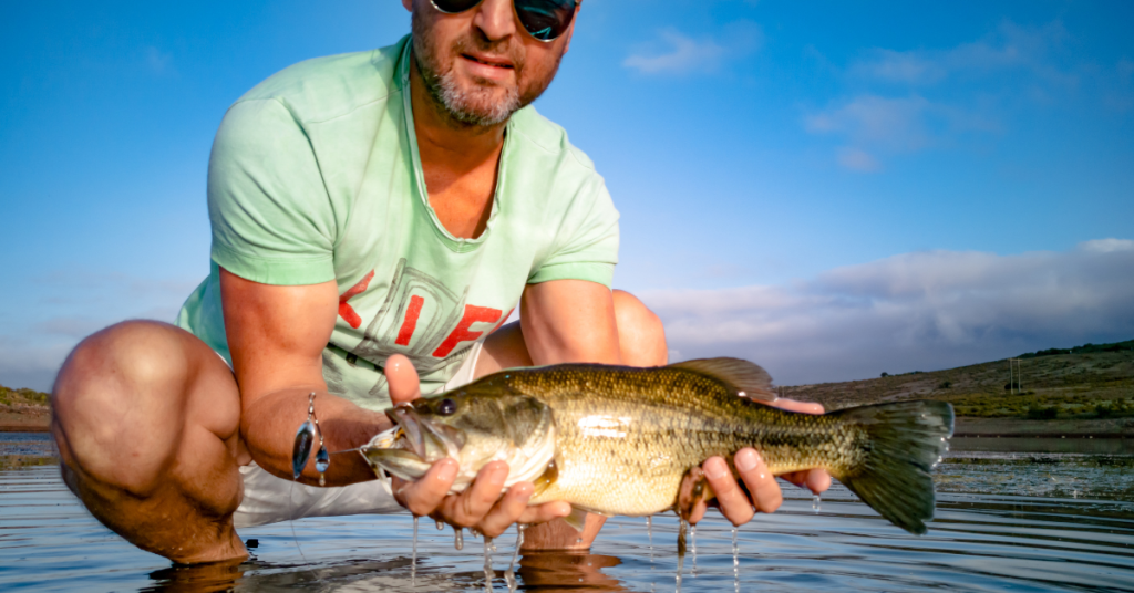 Bass Fishing From Shore: Tips for Bank Angling Success