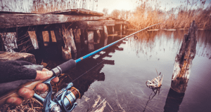 Light vs Ultralight Rods: Differences and Best Choice