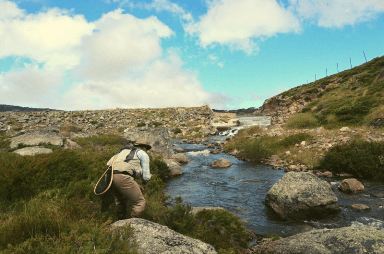 An Expert Guide to Ultralight Fly Fishing