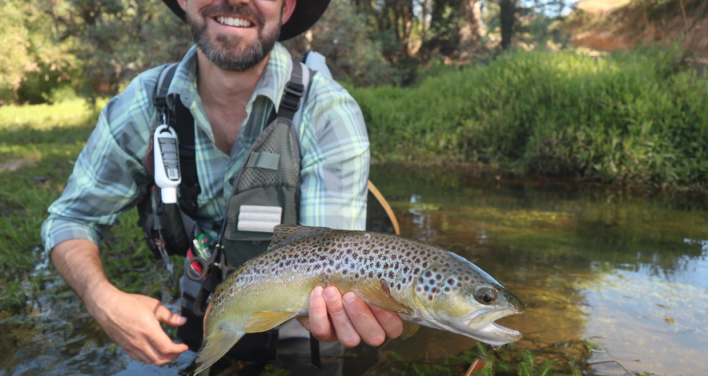 What Pound Fishing Line to Use: Expert Guide