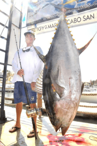 World Record Tuna: Largest Bluefin & Yellowfin Ever Caught