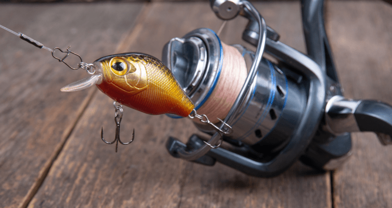 How Much Line to Put on a Spinning Reel: Expert Guide
