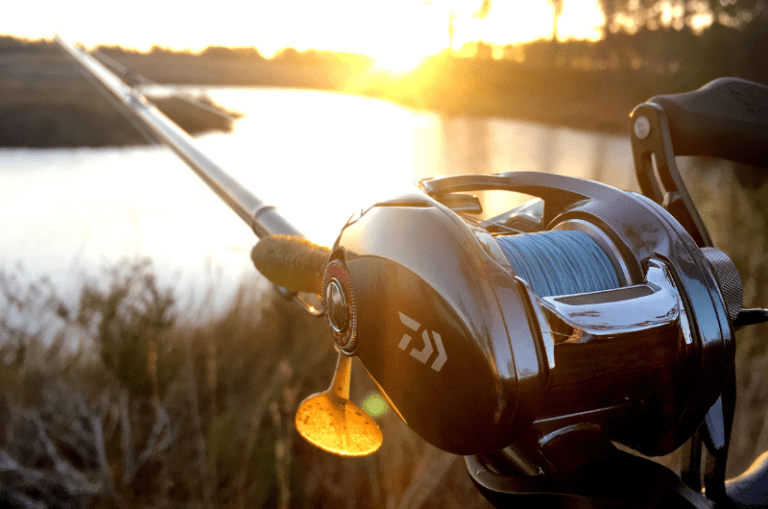The 6 Best Flipping and Pitching Reels: Expert Guide