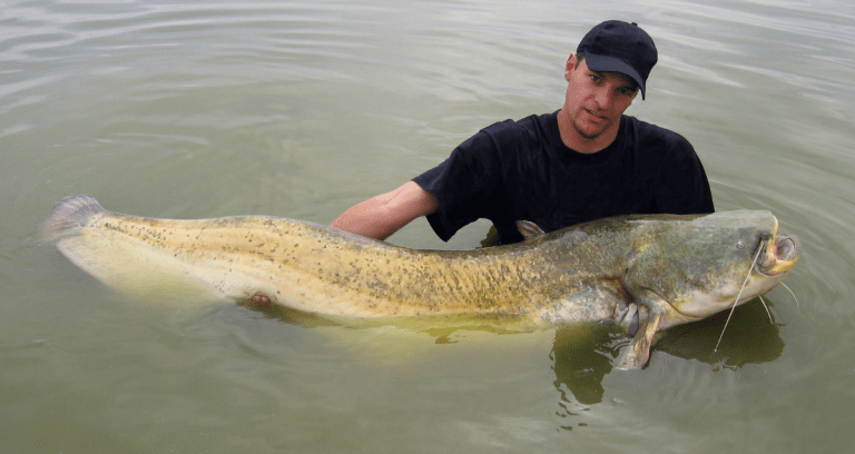 How to Catch Catfish: Expert Tips for All Species