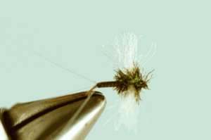The 5 Best Trico Fly Patterns: Full List