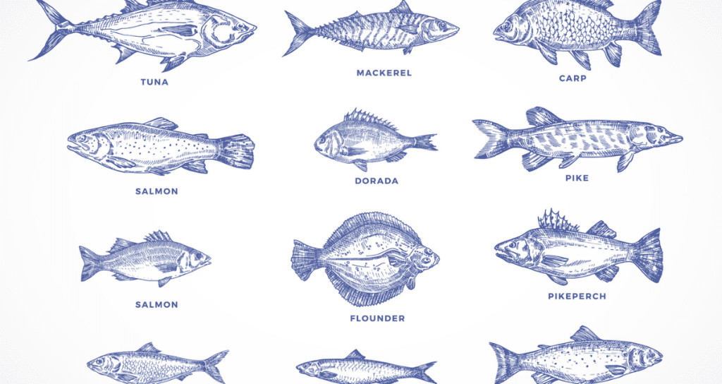 The 30 Best Tasting Fish: Complete Chart