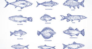 The 30 Best Tasting Fish: Complete Chart