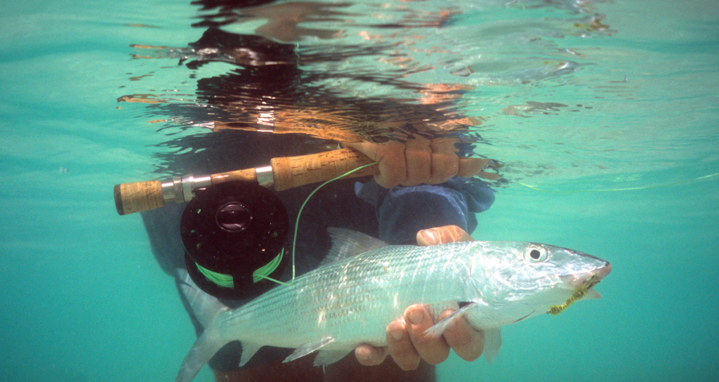 What Is an Inshore Grand Slam? Explanation and Species List