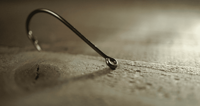 Best Bass Hooks: Our Favorite Brands for All Types (2025)