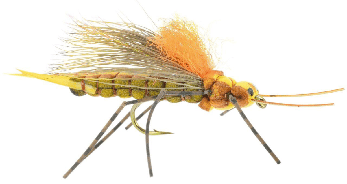 7 Great Salmonfly Patterns and How to Fish Them: Fly Fishing Guide (2025)