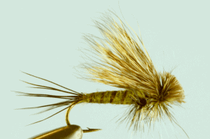 The 7 Best Green Drake Fly Patterns: Buy or Tie