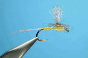 PMD Fly Patterns: 10 Top Pale Morning Dun Flies (2025)