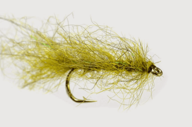 Our Top 5 Leech Fly Patterns: Successful Streamers