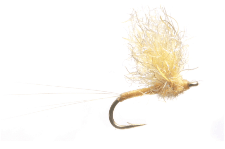 PMD Fly Patterns: 10 Top Pale Morning Dun Flies (2025)
