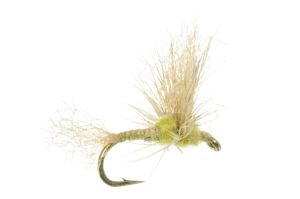 PMD Fly Patterns: 10 Top Pale Morning Dun Flies (2026)