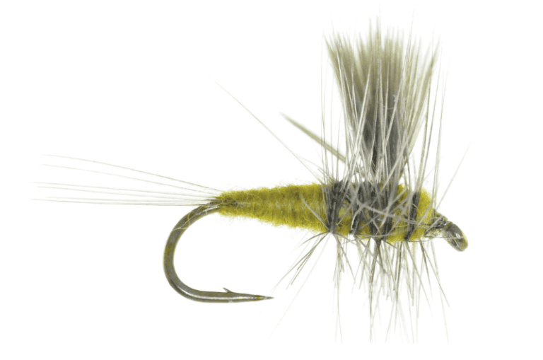 PMD Fly Patterns: 10 Top Pale Morning Dun Flies (2025)
