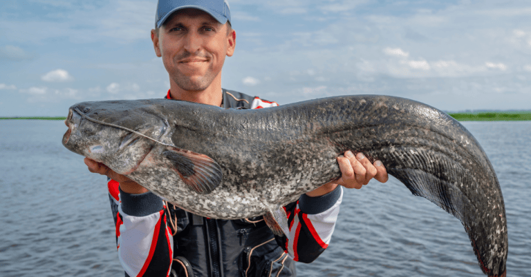 Best Time of Day to Fish for Catfish Explained (+ Seasons)