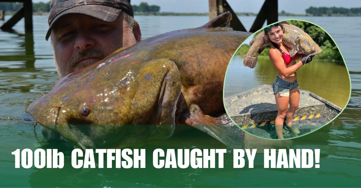 Catfishing Noodling: What Is It and How to Do It Correctly?