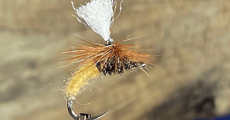 What Is an Emerger Fly? And How Do You Fish Them?