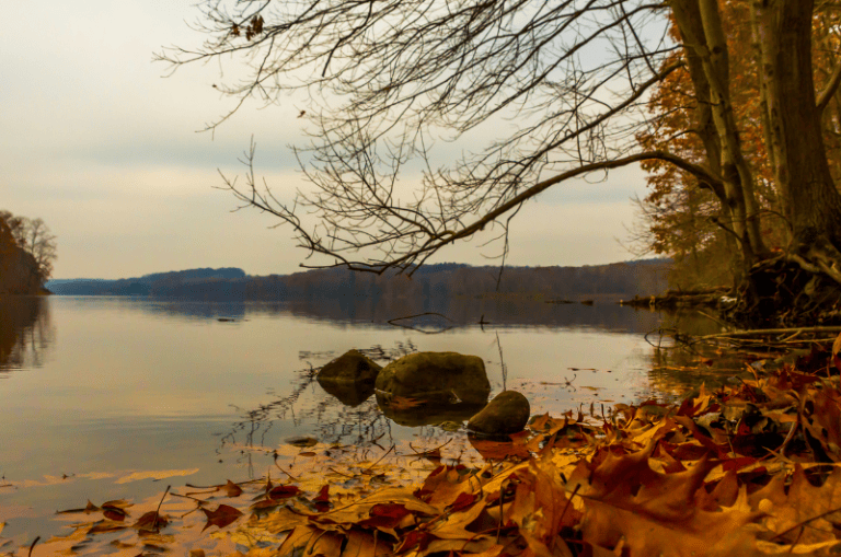 The 12 Best Bass Fishing Lakes and Rivers in Pennsylvania