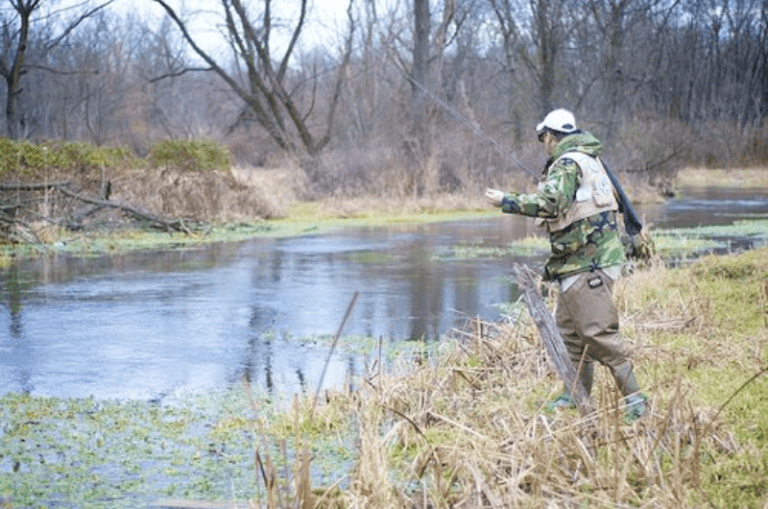 The 16 Best Trout Fishing Streams in Pennsylvania: Expert Guide