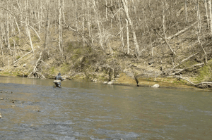 The 16 Best Trout Fishing Streams in Pennsylvania: Expert Guide