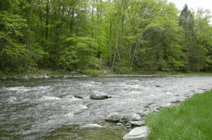 The 16 Best Trout Fishing Streams in Pennsylvania: Expert Guide