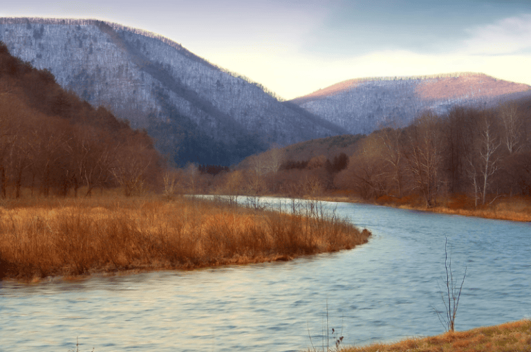 The 16 Best Trout Fishing Streams in Pennsylvania: Expert Guide