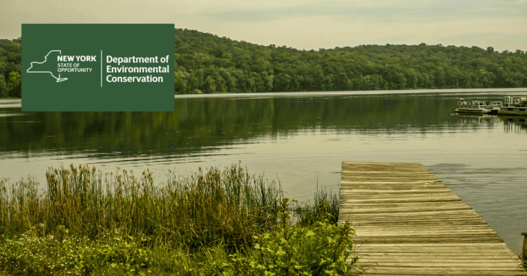 New York Fishing License (2026): Cost, Types & How to Buy