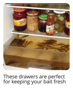 The Best 50 Fishing Memes: Funniest, Sauciest and More