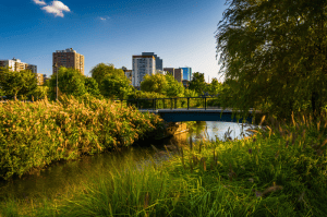 Bass Fishing Massachusetts: 12 Best Fishing Spots in MA