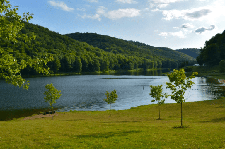 The 12 Best Walleye Fishing Spots in Pennsylvania: Rivers and Lakes + Map
