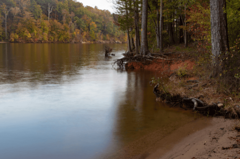 The Top 10 Bass Fishing Lakes in North Carolina: Expert Guide + Map