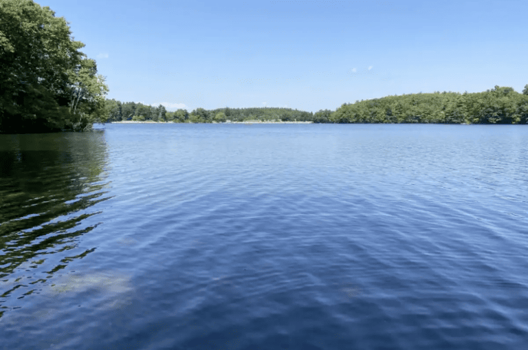 Bass Fishing Massachusetts: 12 Best Fishing Spots in MA