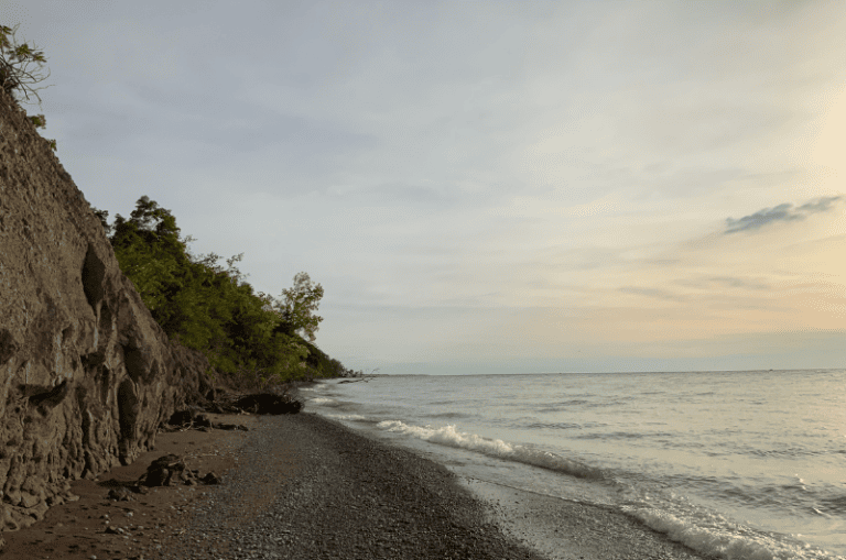 The 12 Best Walleye Fishing Spots in Pennsylvania: Rivers and Lakes + Map