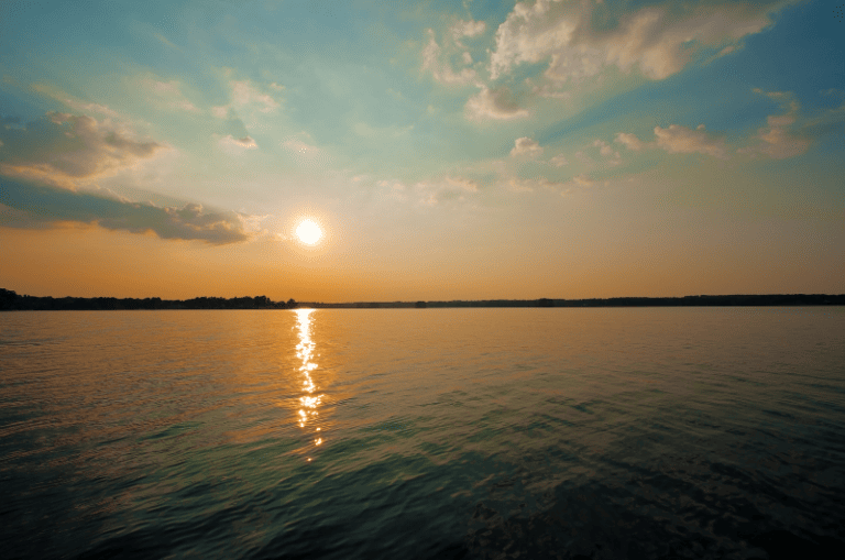 The 10 Best Trout Fishing Spots in South Carolina (With Map)