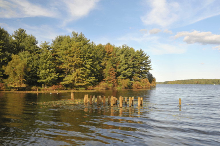 The 10 Best Crappie Fishing Lakes in Pennsylvania: Local Expert’s Guide