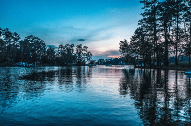The Best Bass 10 Bass Fishing Lakes in South Carolina: Expert Guide