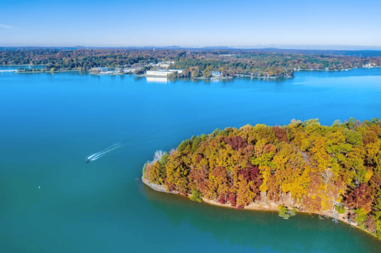 The Top 10 Bass Fishing Lakes in North Carolina: Expert Guide + Map