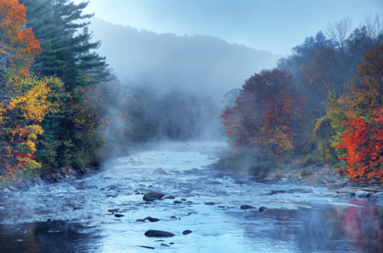 The 15 Best Trout Fishing Rivers and Lakes in Massachusetts
