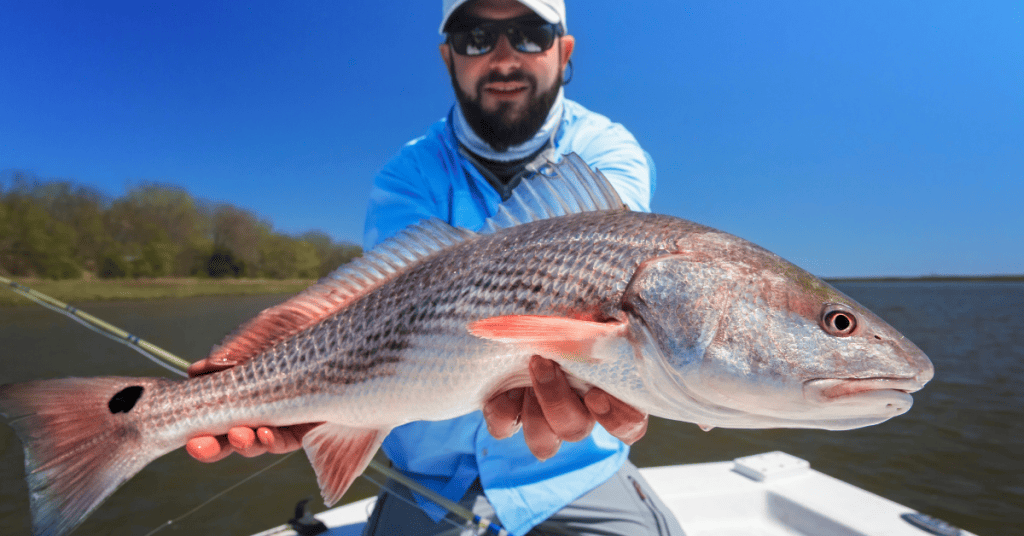 North Carolina Fishing Seasons: The Best Time to Fish for All Species