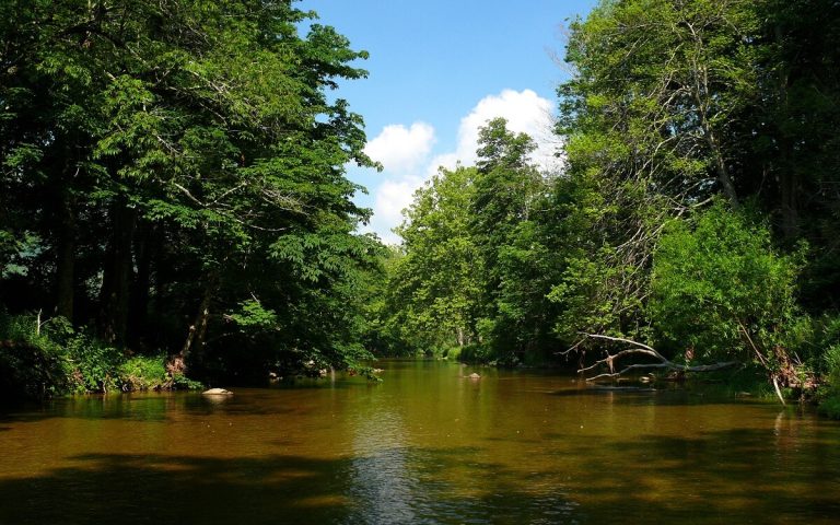 The 10 Best Trout Fishing Rivers in North Carolina: Expert Guide + Map