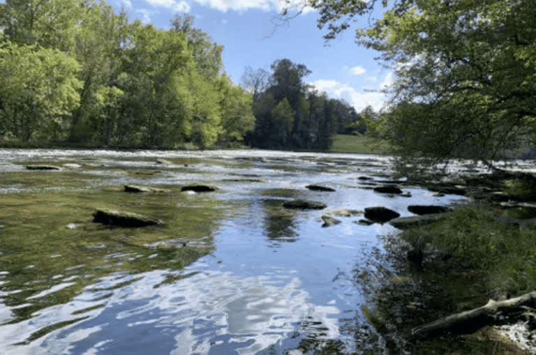 The 10 Best Trout Fishing Spots in South Carolina (With Map)