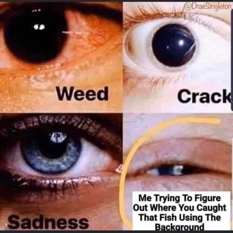 The Best 50 Fishing Memes: Funniest, Sauciest and More