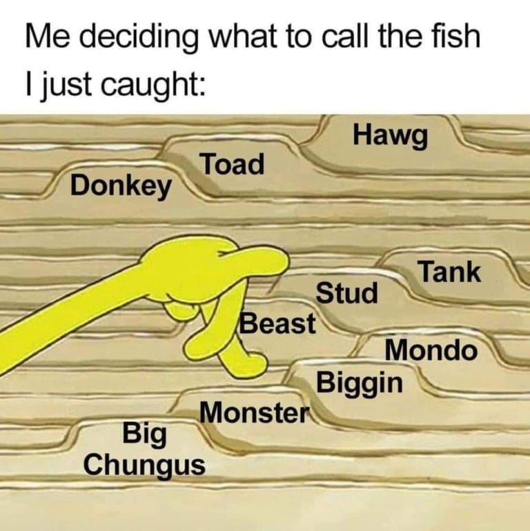 The Best 50 Fishing Memes: Funniest, Sauciest and More