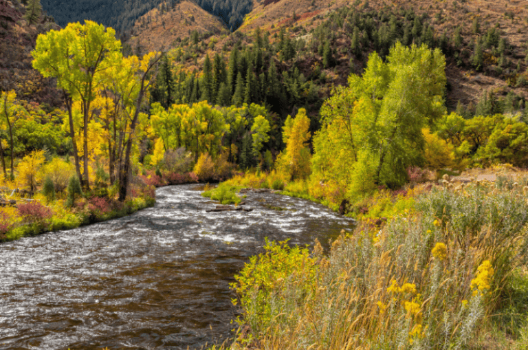 The 15 Best Fly Fishing Rivers in Colorado: Expert Guide